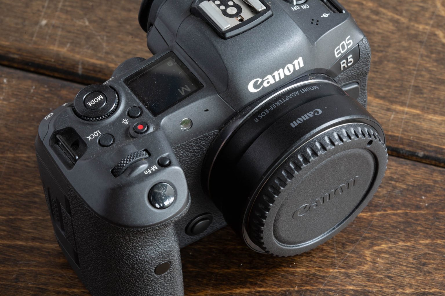 Using the Canon R5 with EF Lenses